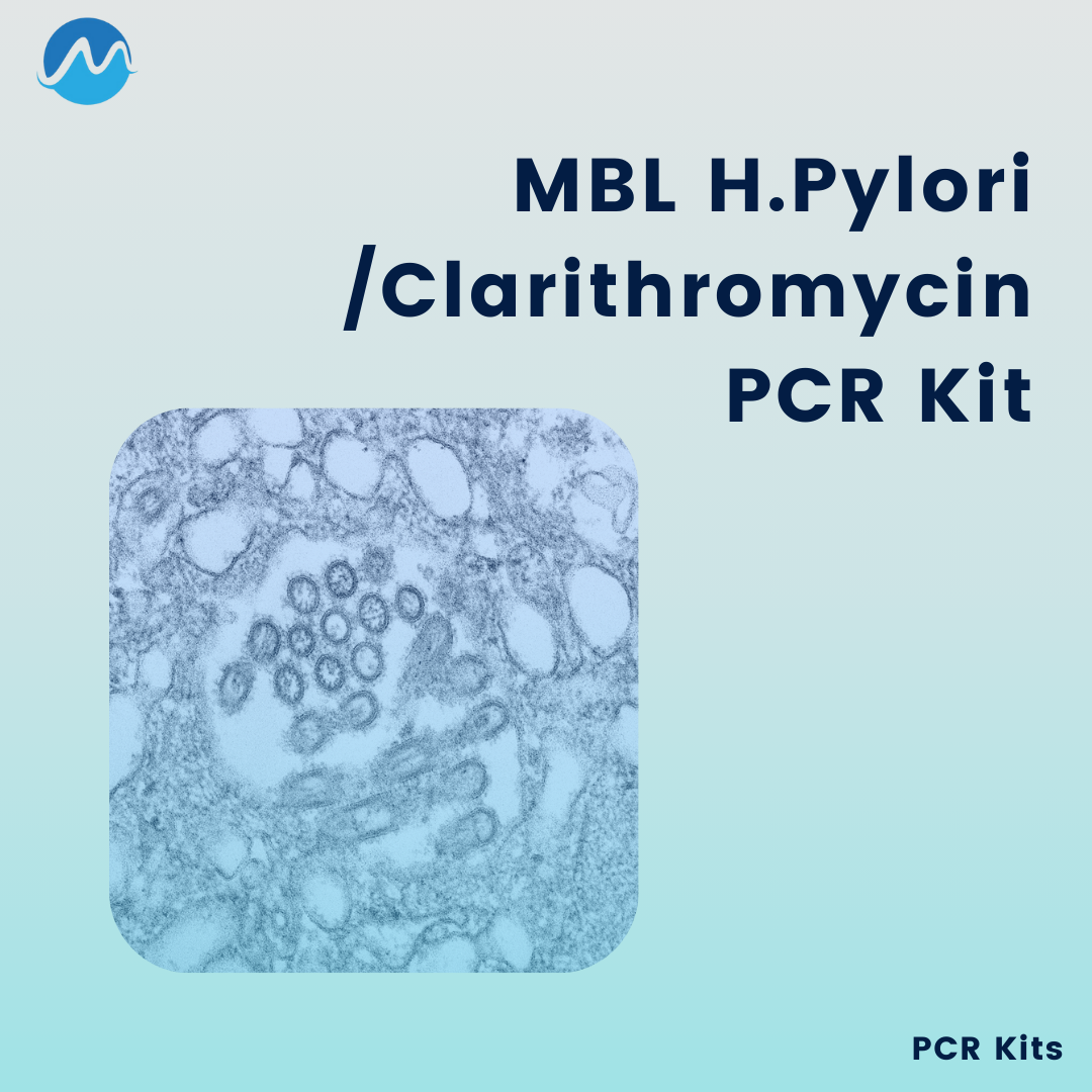 MBL H.pylori / Clarithromycin PCR Kit – MarinaBioLab