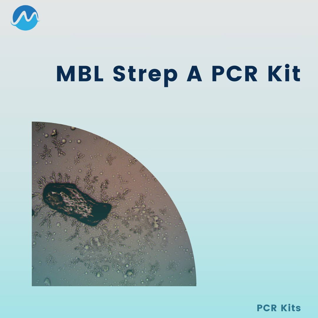MBL Strep A PCR Kit - 100 Rxn/ Kit – MarinaBioLab
