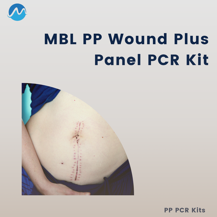 MBL PP Wound Plus Panel PCR kit - 48rxn/Kit – MarinaBioLab