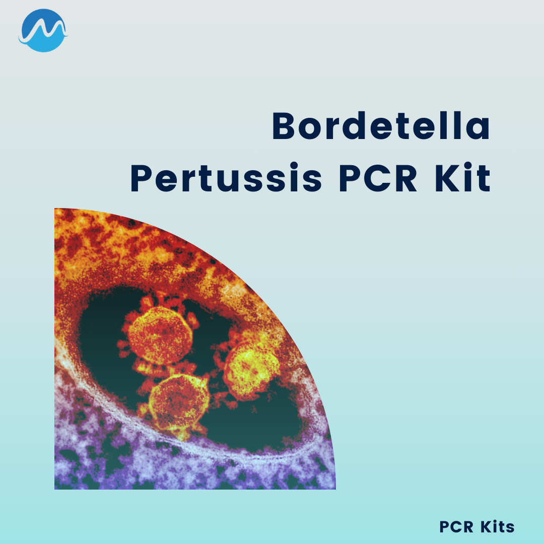 MBL Bordetella Pertussis PCR Kit – MarinaBioLab