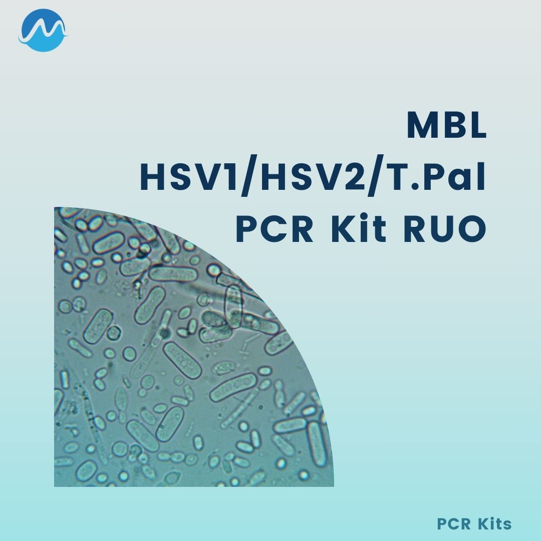 HSV1/HSV2/T.Pal PCR Kit RUO PCR Kit - 100 Rxn/ Kit – MarinaBioLab