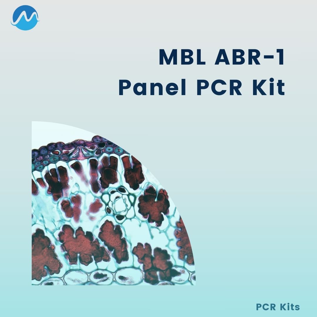 MBL ABR-1 Panel PCR Kit – MarinaBioLab