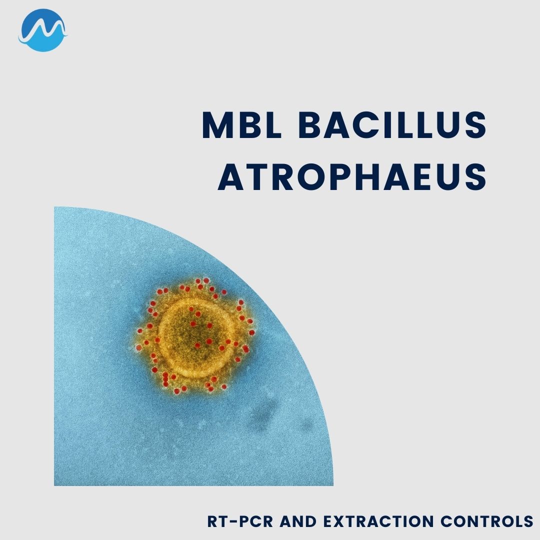 MBL Bacillus Atrophaeus – MarinaBioLab