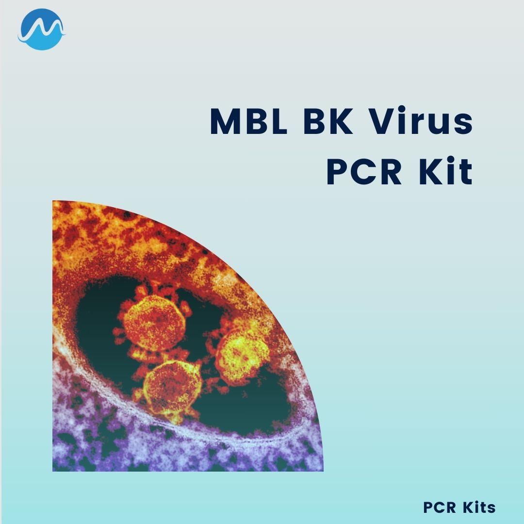 MBL BK Virus PCR Kit - 100 Rxn/ Kit – MarinaBioLab