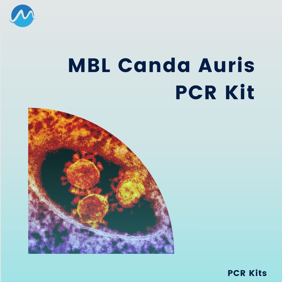 MBL Candida Auris PCR Kit - 100 Rxn/ Kit – MarinaBioLab
