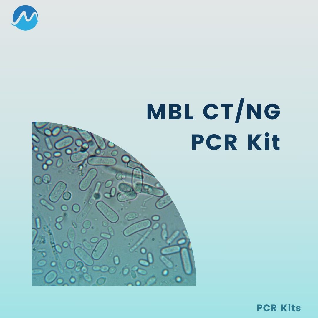 MBL CT/NG PCR Kit - 100 Rxn/ Kit – MarinaBioLab