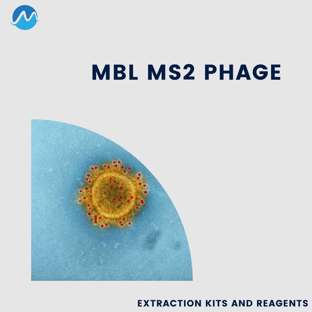 MBL MS2 Phage – MarinaBioLab