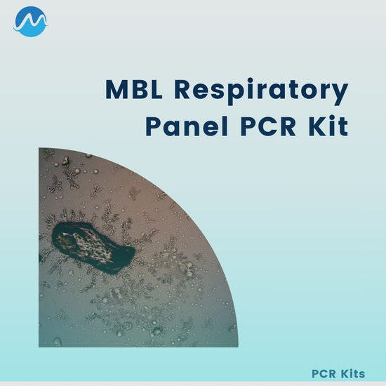 MBL ABR-1 Panel PCR Kit – MarinaBioLab