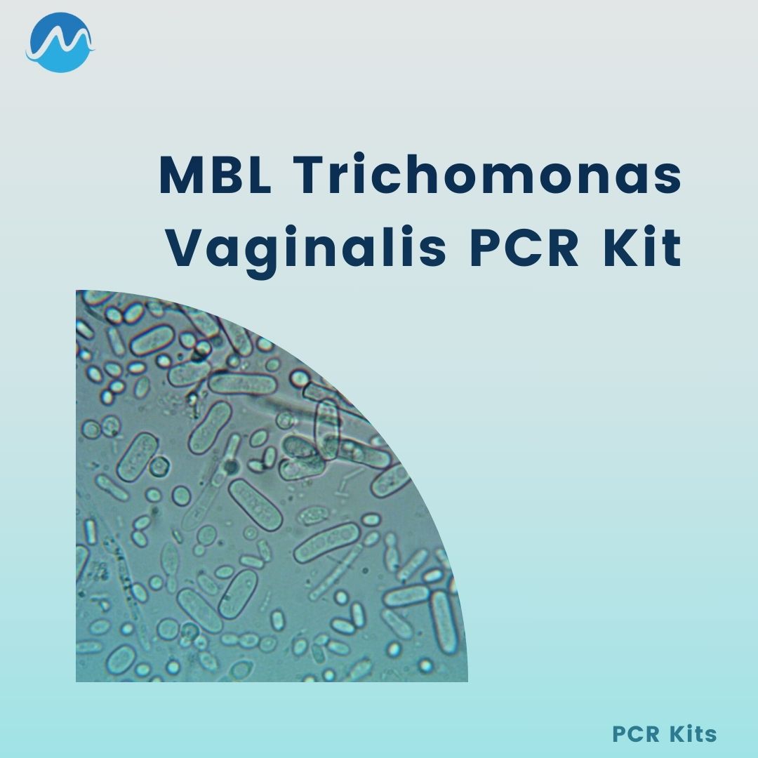 MBL Trichomonas Vaginalis PCR Kit – MarinaBioLab